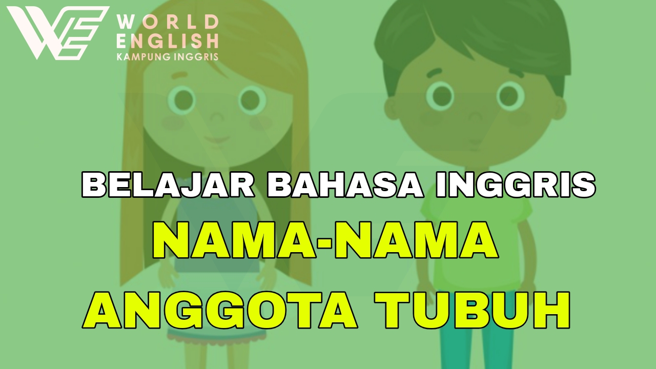 BELAJAR BAHASA INGGRIS ANGGOTA TUBUH MANUSIA | Kampung Inggris Online BELAJAR BAHASA INGGRIS ANGGOTA TUBUH MANUSIA | Kampung Inggris Online